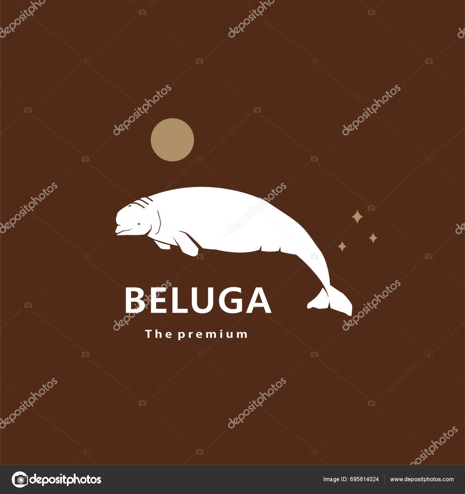 Animal Beluga Natural Logo Vector Icono Silueta Retro Hipster Vector de ...