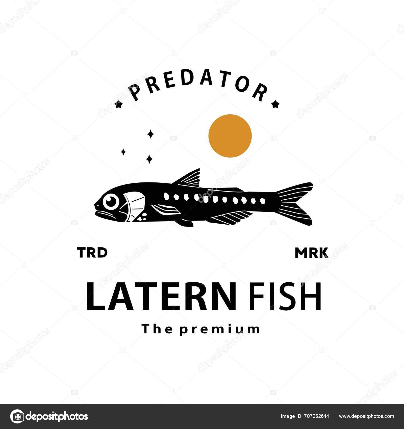 Vintage Retro Hipster Lanternfish Logo Vector Outline Silhouette Art ...