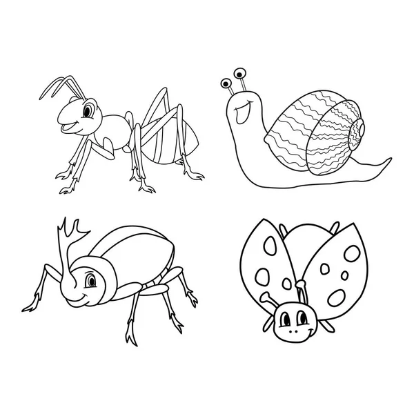 100,000 Insect life cycle Vector Images | Depositphotos