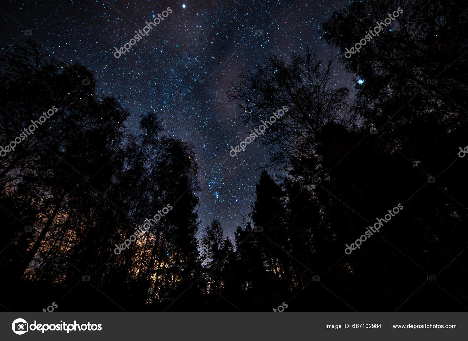 Night Sky Stars Trees — Stock Photo © pavelmora88 #687102984