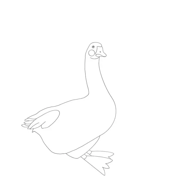 Dibujos de quackity Stock Photos, Royalty Free Dibujos de quackity ...
