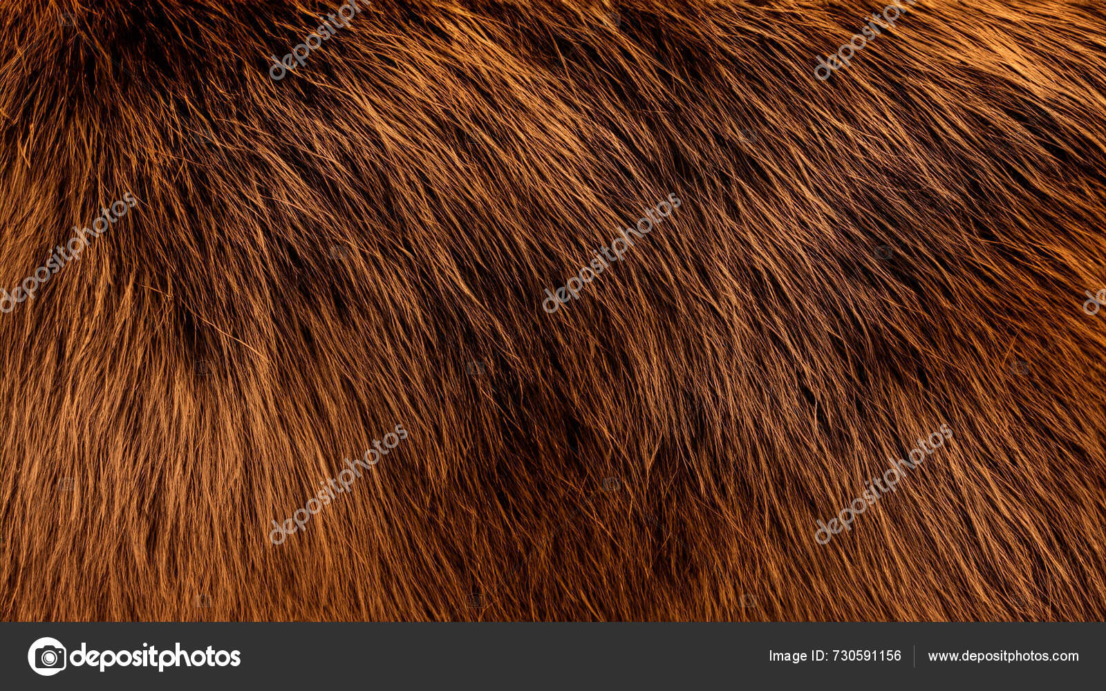 Close Brown Animal Fur Texture Background — Stock Photo ...