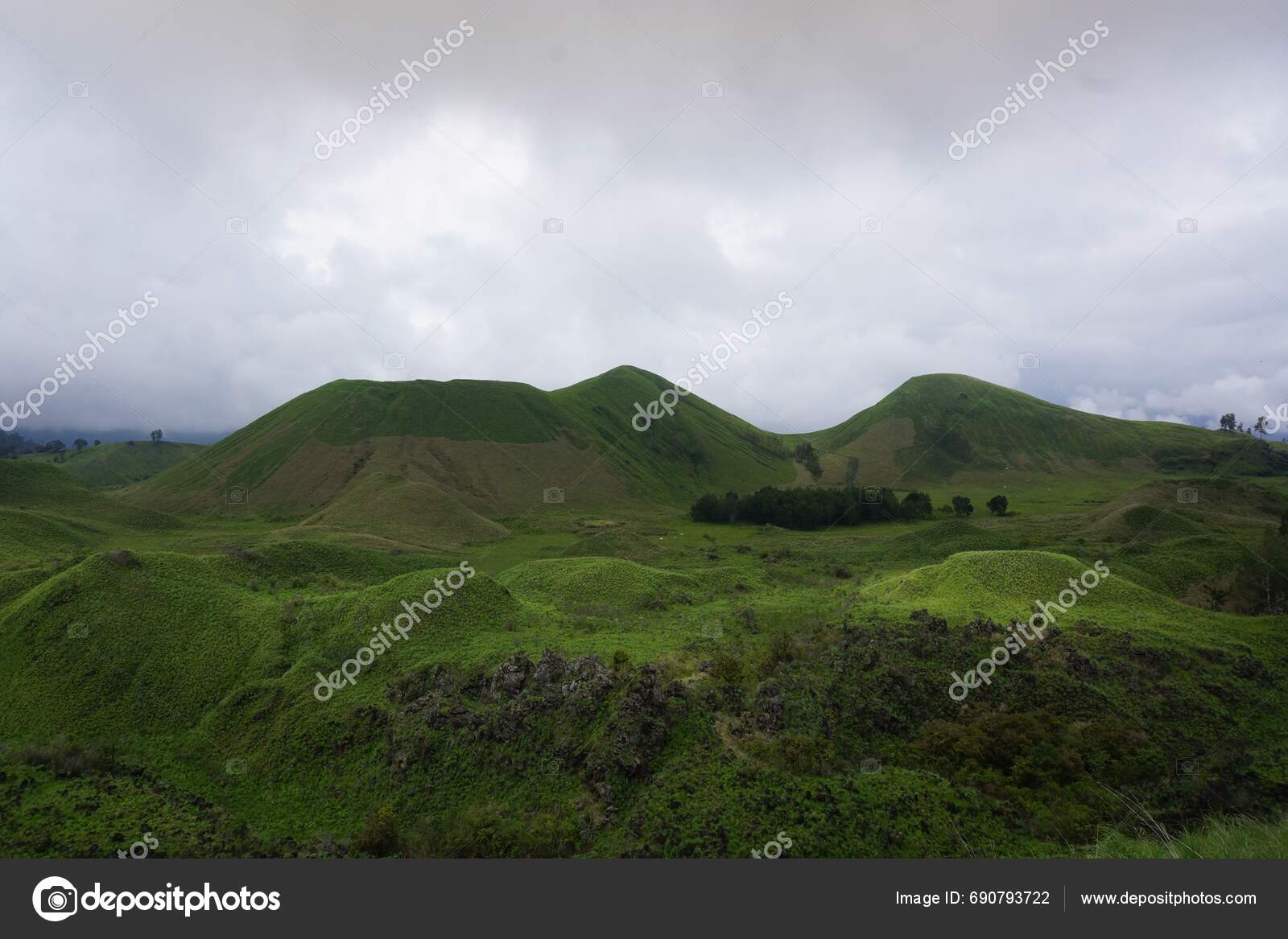 Tropical Rainforests Indonesia Have Lot Biodiversity Condition Trees ...