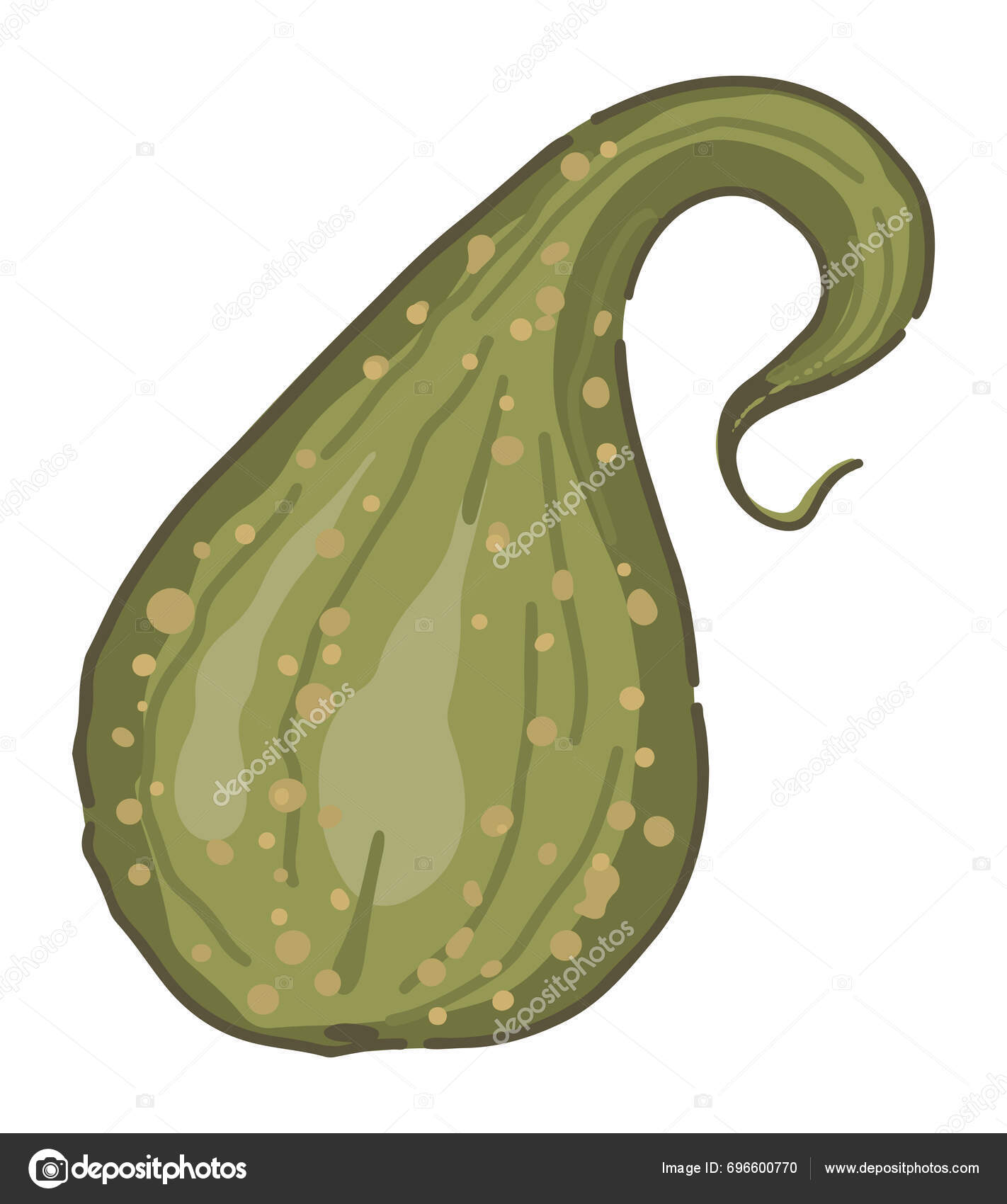 Doodle Vegetable Marrow Pumpkin Vector Illustration Cartoon Style ...