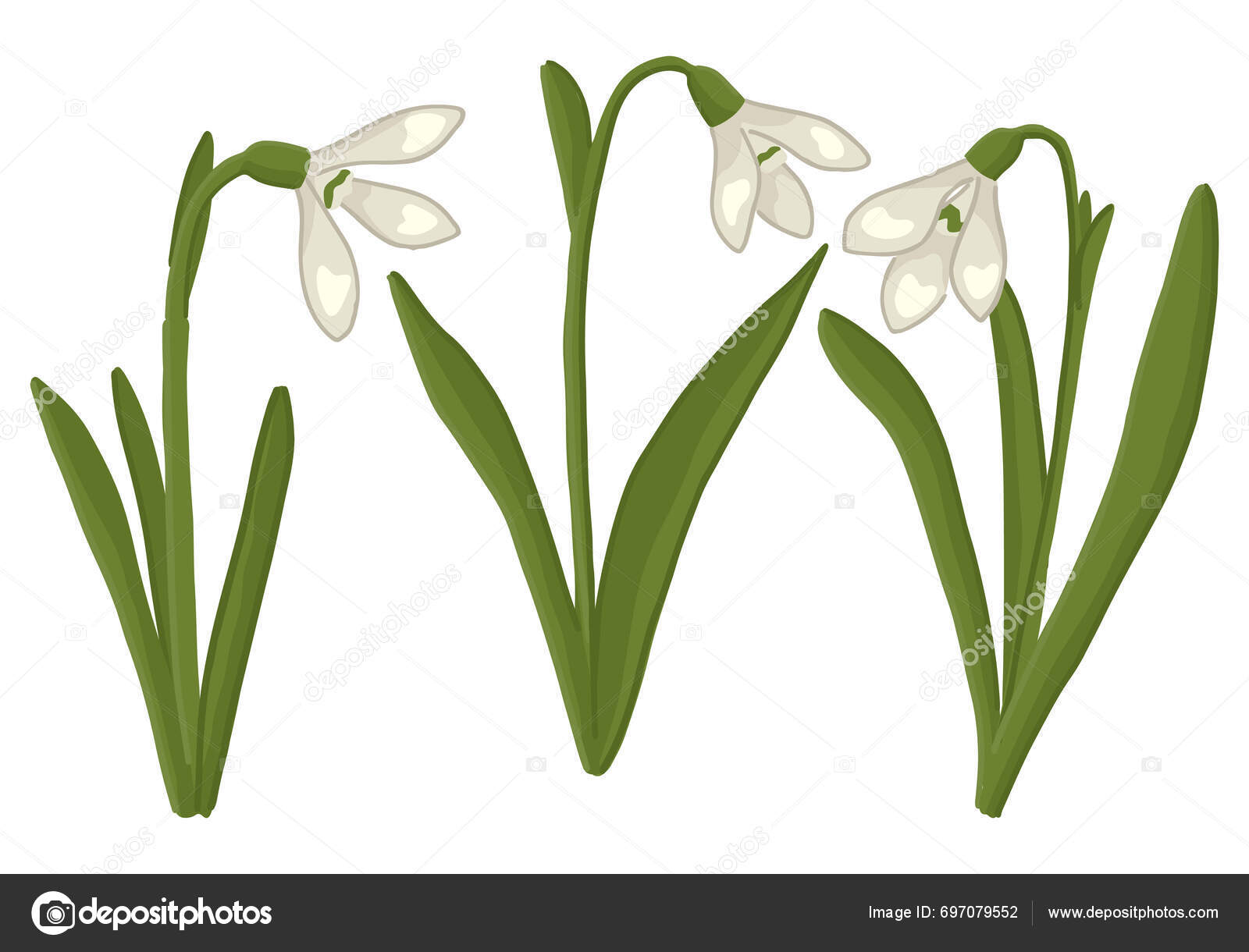 Jarní Sbírka Květin Clipart Sada Sněhových Kapek Čmáranice Kreslený ...