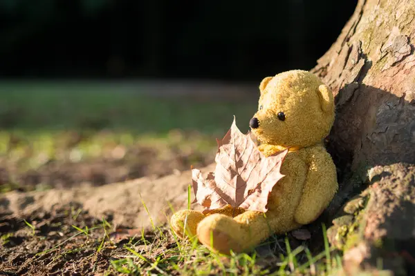 10,548,193 imágenes de Winnie the pooh libres de derechos | Depositphotos