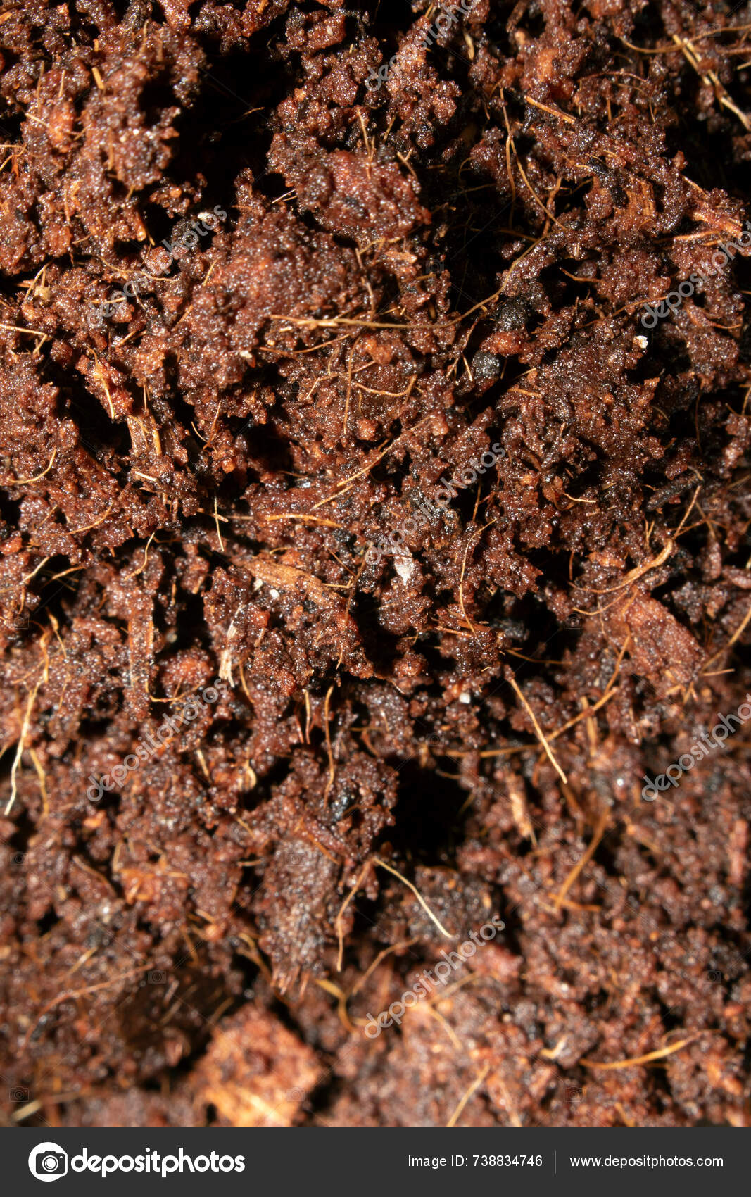 Close Moist Brown Fresh Soil White Background — Stock Photo ...