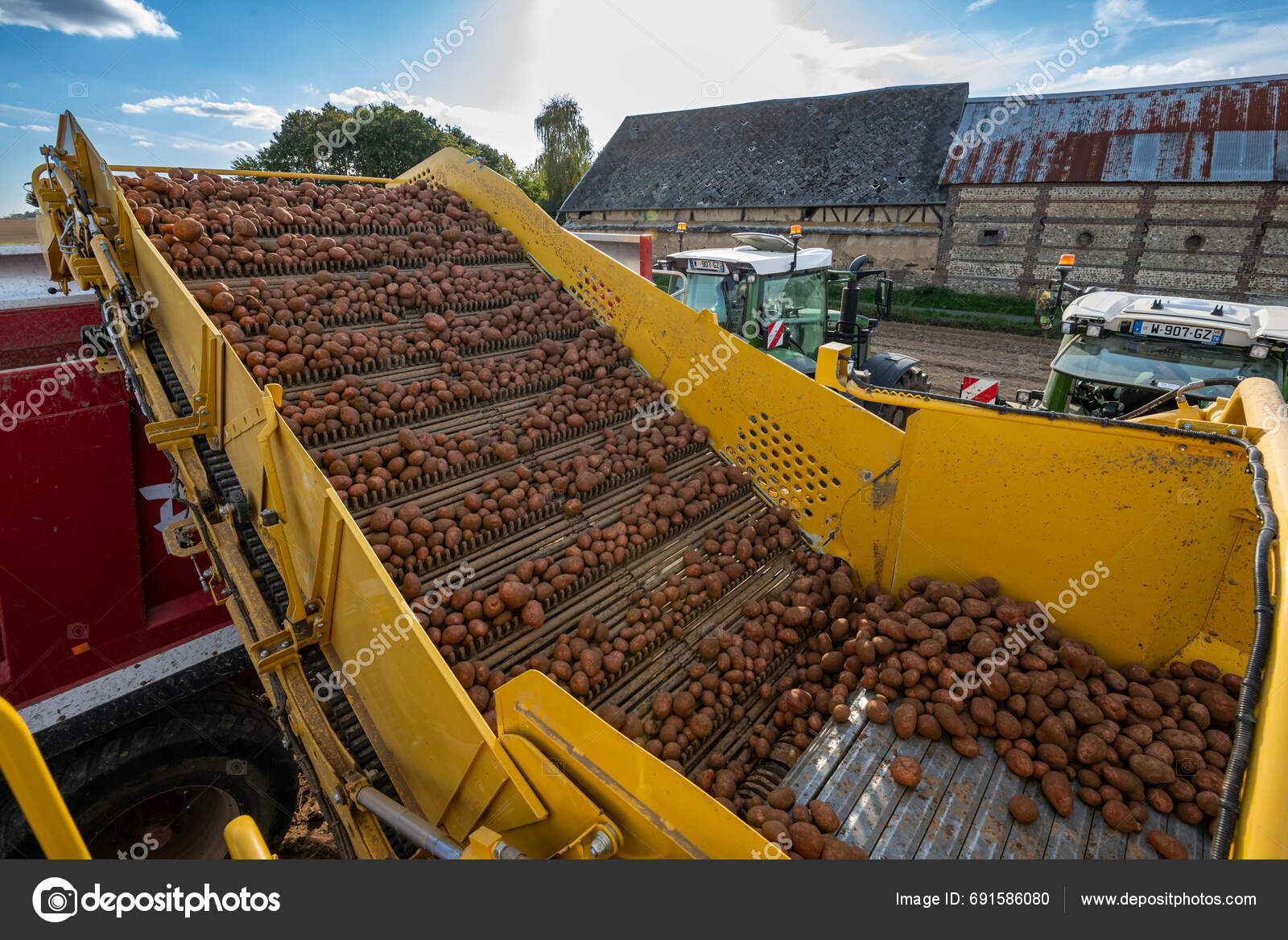 Potato Uprooting Reception Hopper Conveyor Belt France Normandy October ...