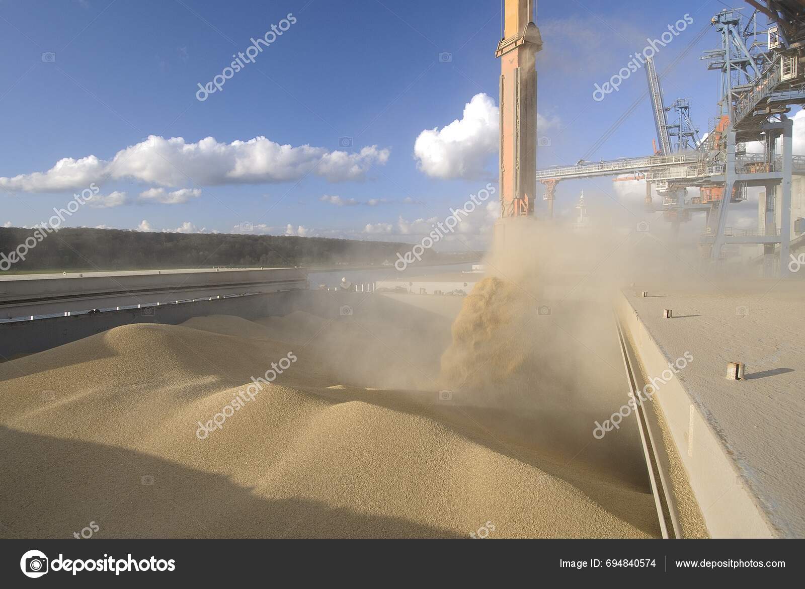 Grain Loading Wheat Ship Panamax Senalia Largest Port Food Industry ...