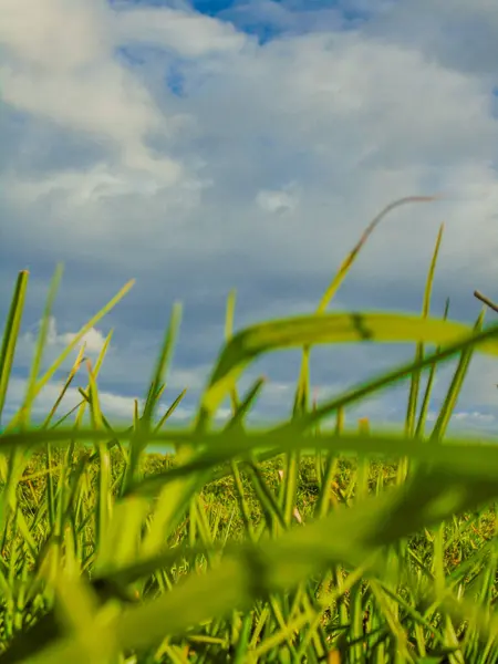 Radiation zone wallpaper fotos de stock, imágenes de Radiation zone ...