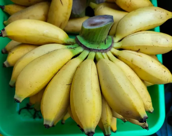Pisang ambon images 2024 Stock Photos, Royalty Free Pisang ambon images ...