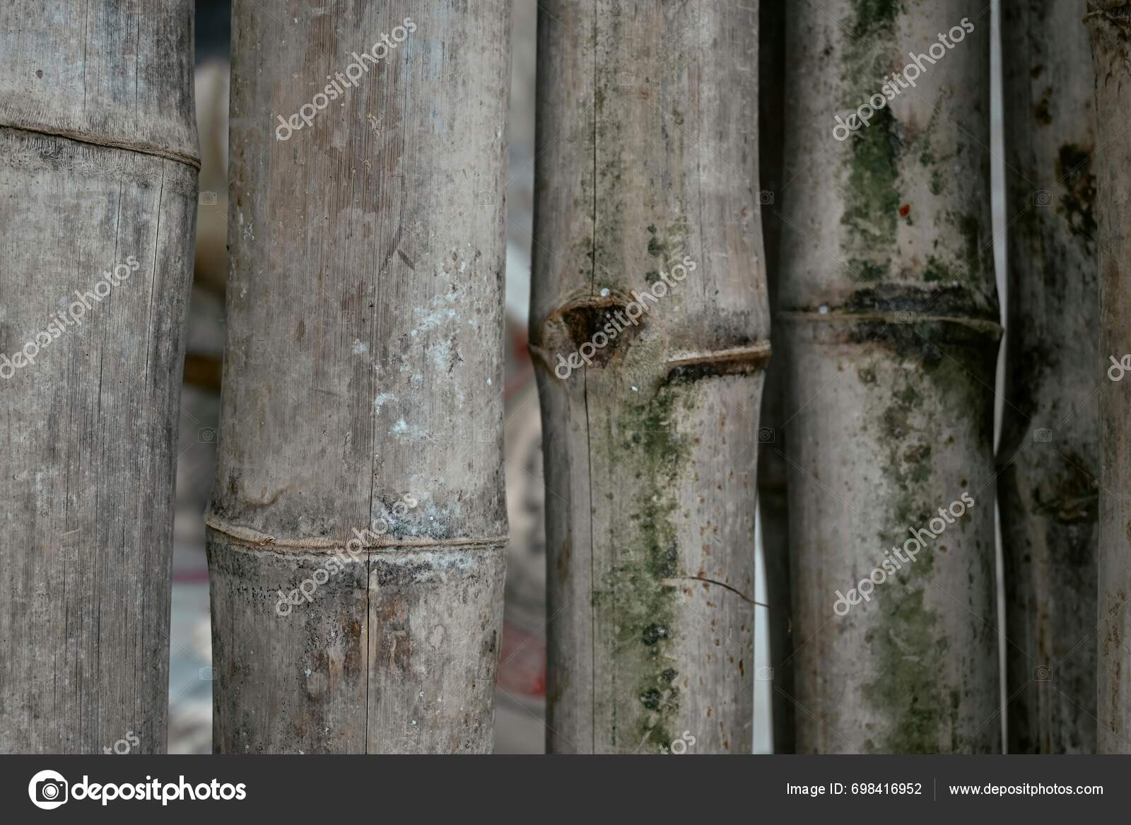Texture Bamboo Tree Trunks — Stock Photo © revy_parinussa #698416952