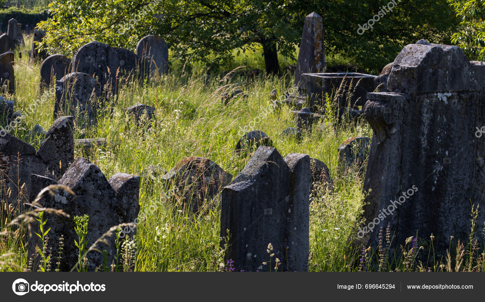 Rozna Dolina Nova Gorica Slovenia May 2023 Hebrew Cemetery Rozna ...