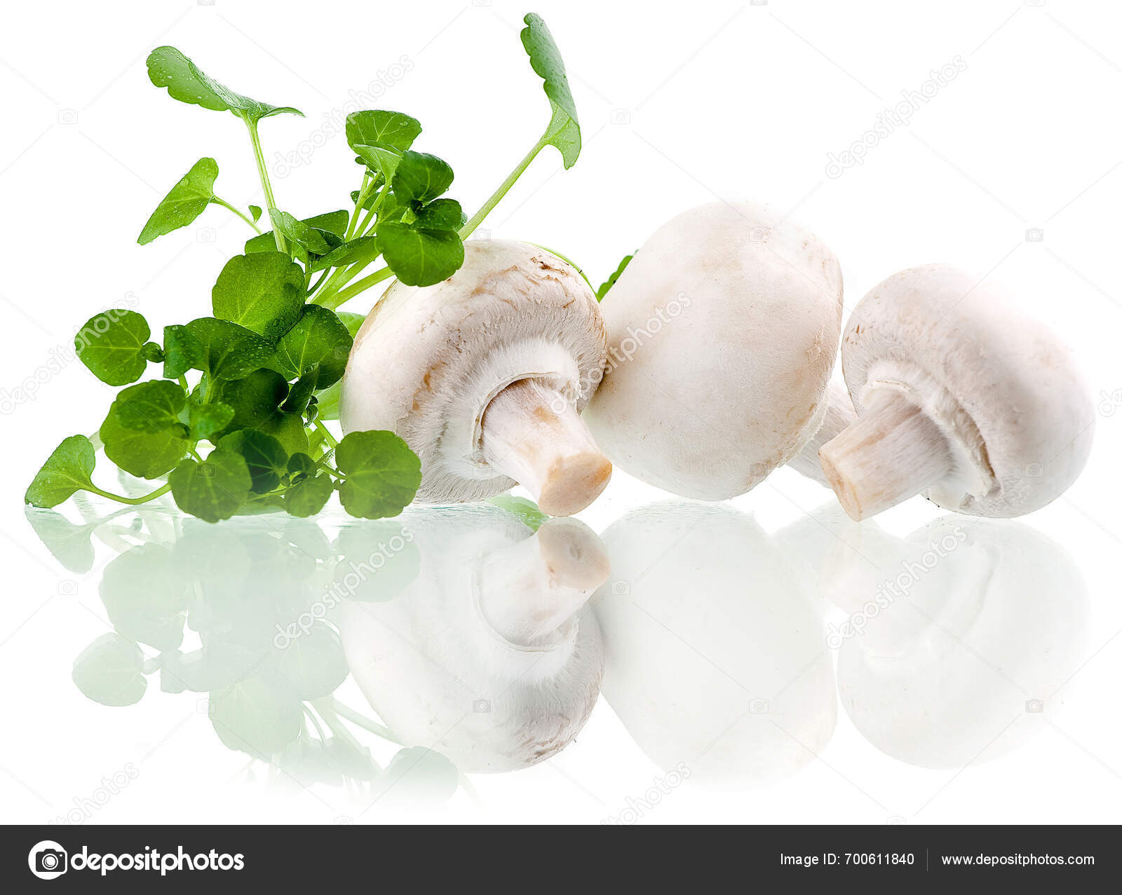 Champignons Different Types Fresh Mushrooms — Stock Photo © pawelpotto ...