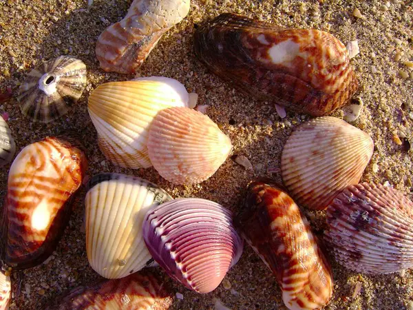 Oposicones Stock Photos, Royalty Free Oposicones Images | Depositphotos