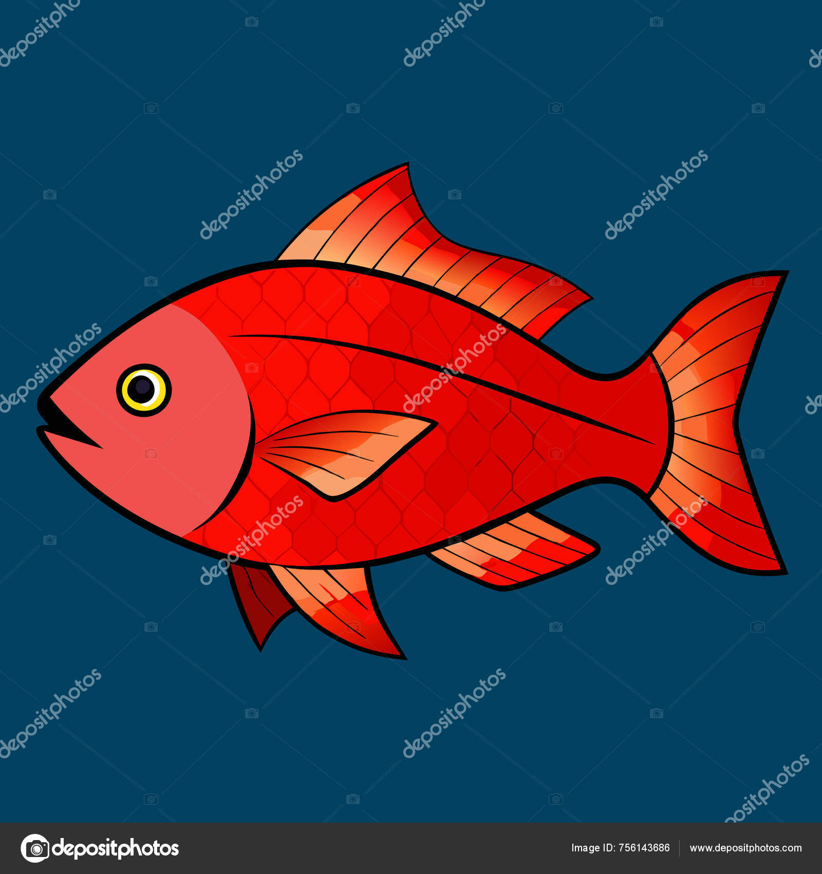 Northern Red Snapper Fish Lutjanus Campechanus Marine Ray Finned Specie ...