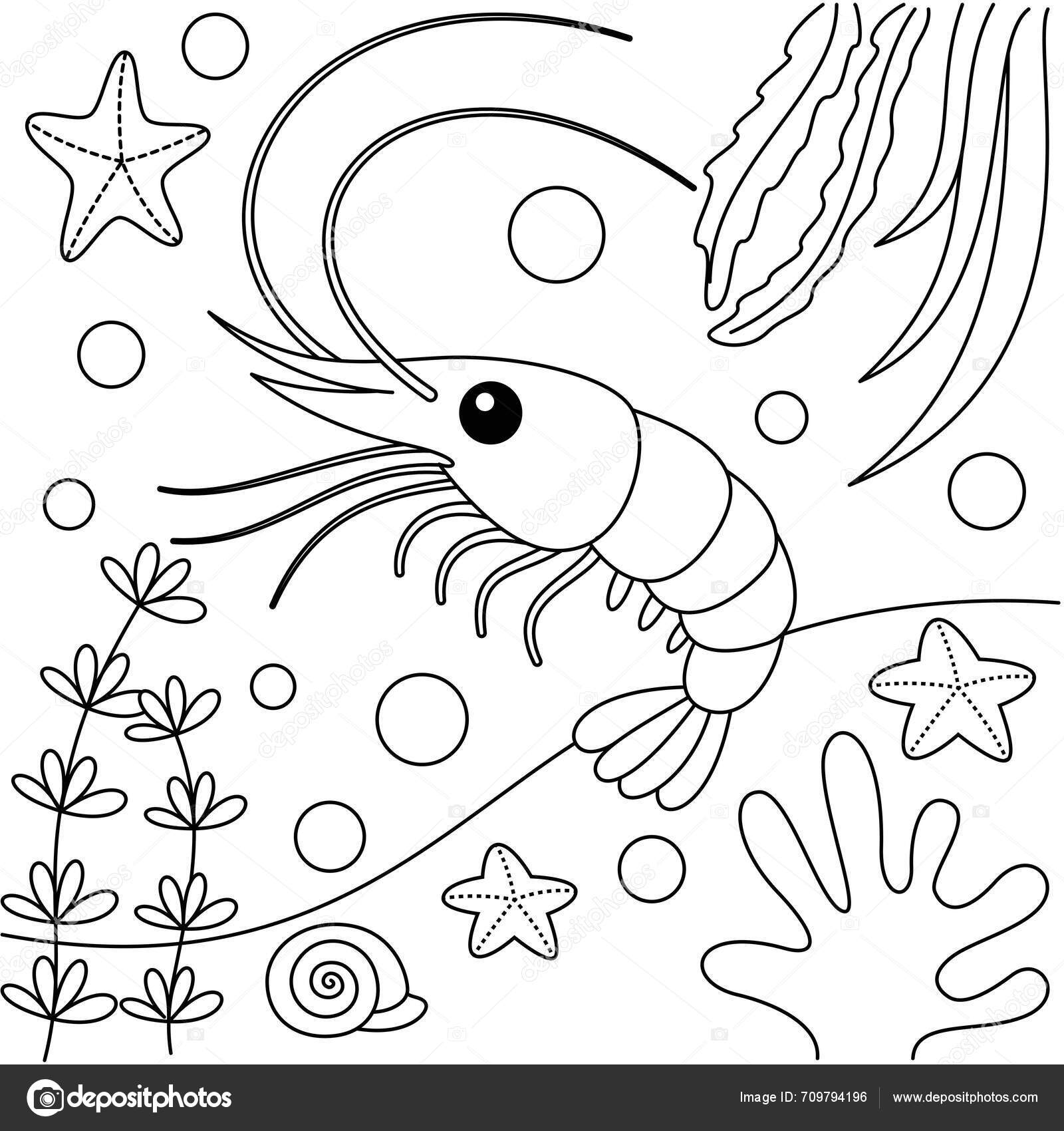 Cute Kawaii Shrimp Cartoon Character Coloring Page Vector Illustration Stock Vector by ©Salaly ...