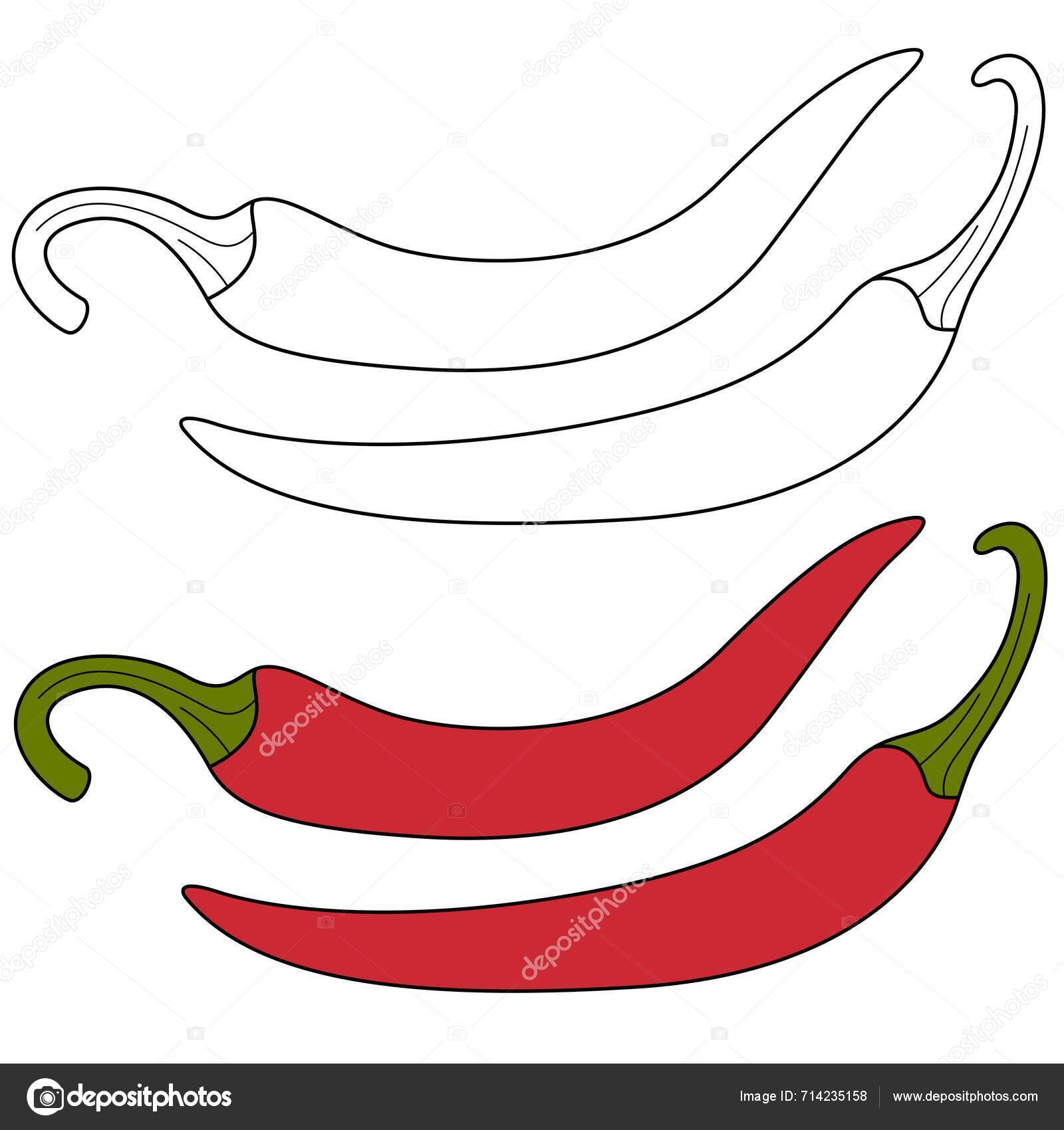 Halaman Pewarnaan Ilustrasi Vektor Outline Chilli Untuk Anak Anak ...