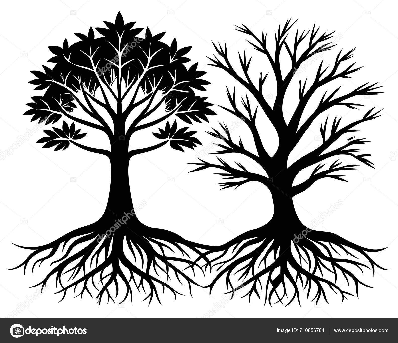 Tree Roots Silhouette Vector 21,200+ Tree Roots Vector Stock