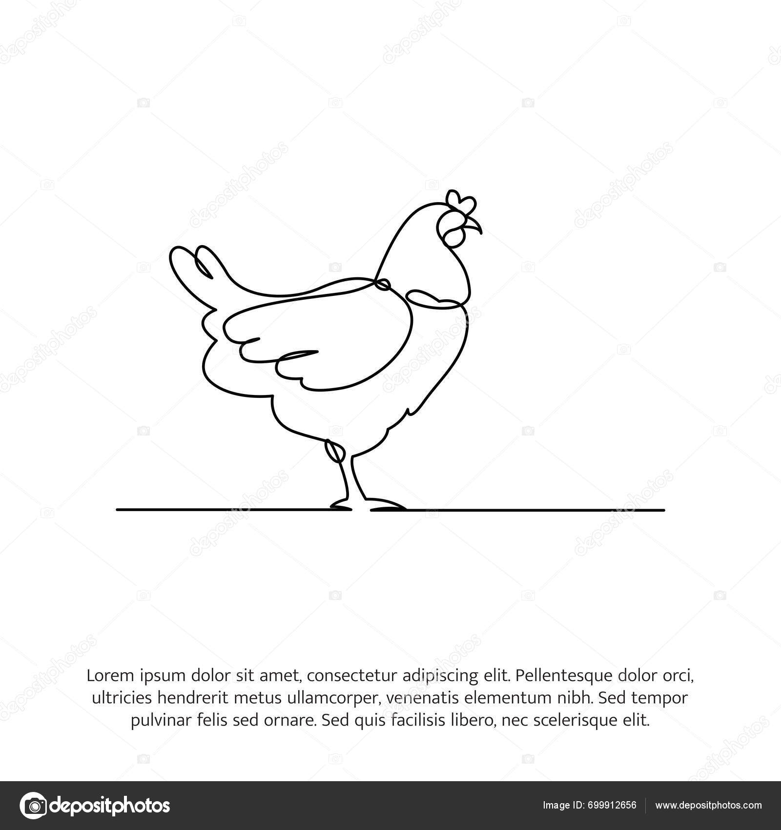 Design Linha Frango Elementos Decorativos Desenhados Uma Linha Contínua ...