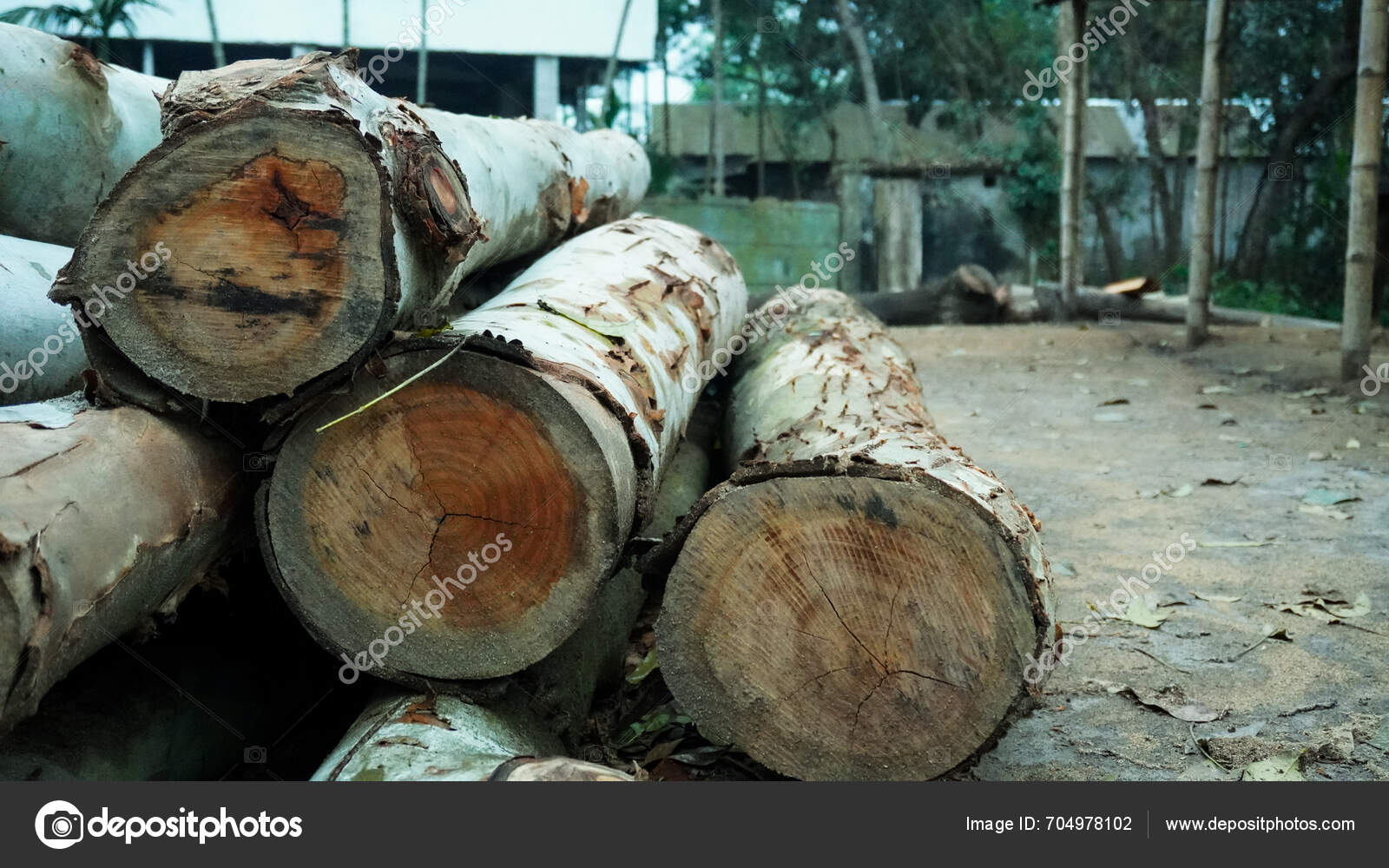 Pile Wood Sawmill Storage Timber Sawmill Wood Resources Concept — Stock ...