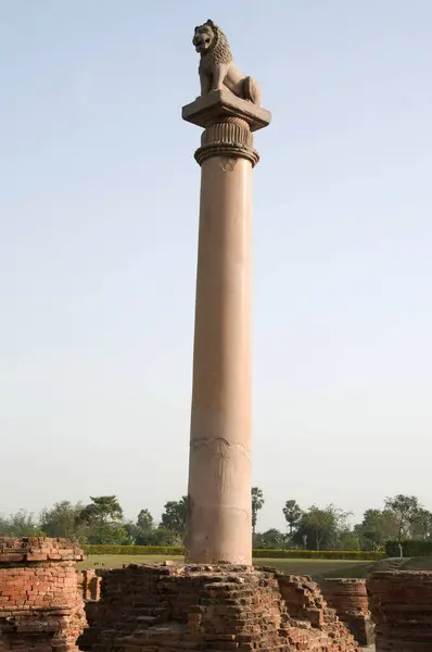 Ashoka statue Stock Photos, Royalty Free Ashoka statue Images ...