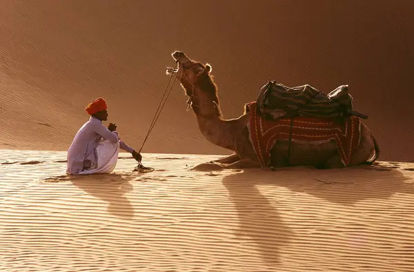 Camel salesman Stock Photos, Royalty Free Camel salesman Images ...
