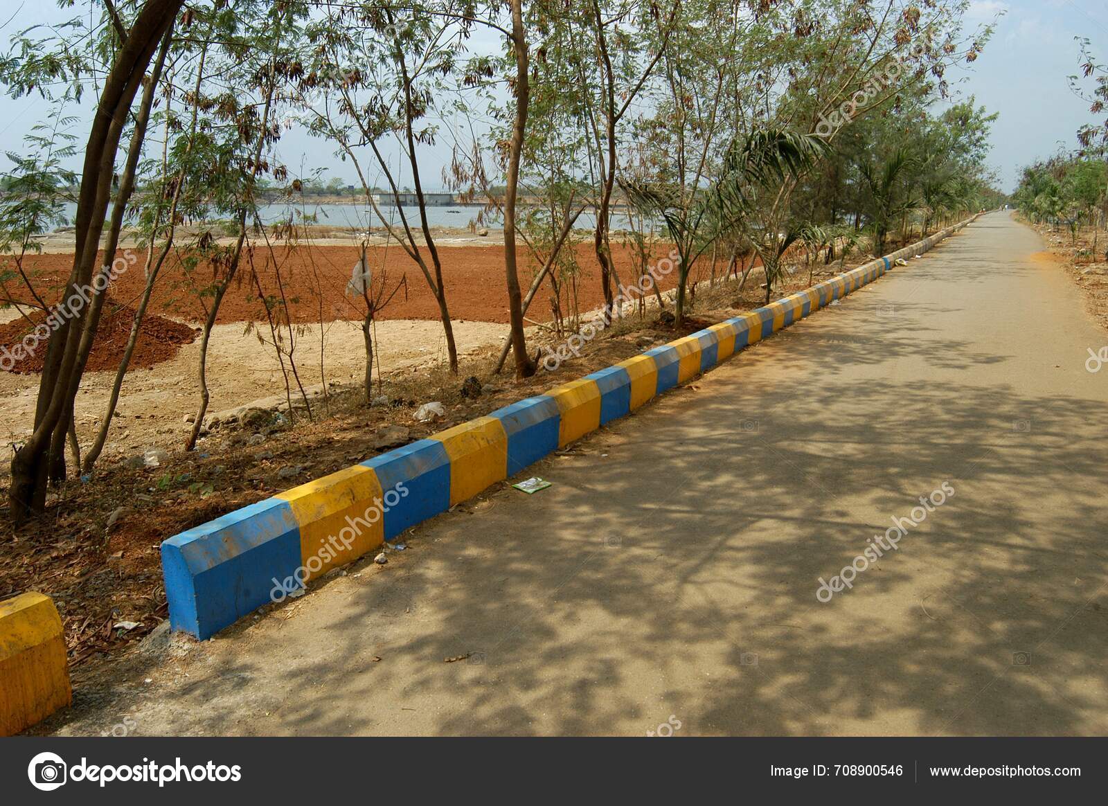 Road Trees Alongside Pond Bombay Now Mumbai Maharashtra India — Stock ...
