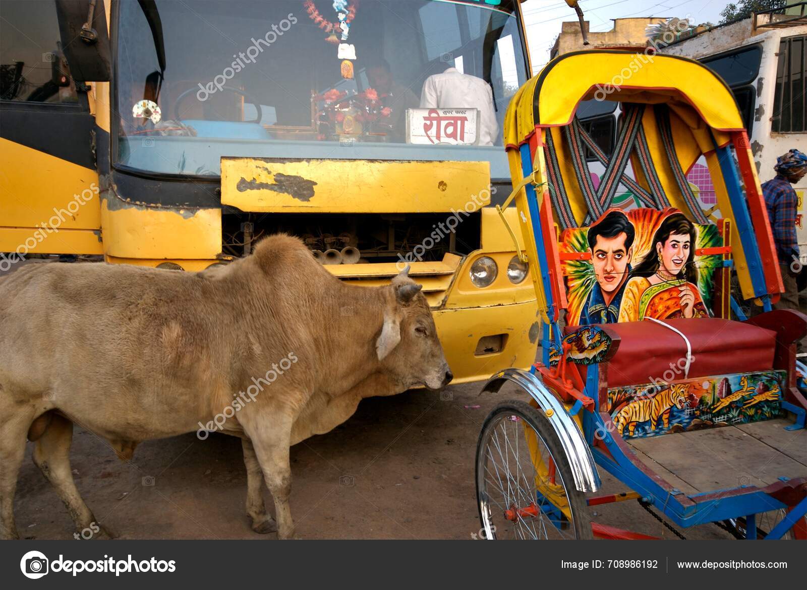 Cow Bus Background Cycle Rickshaw Rewa Bus Stop Madhya Pradesh — Stock ...