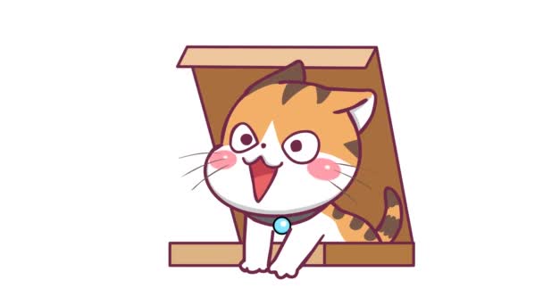 1,622 Png Videos, Royalty-free Stock Png Footage | Depositphotos