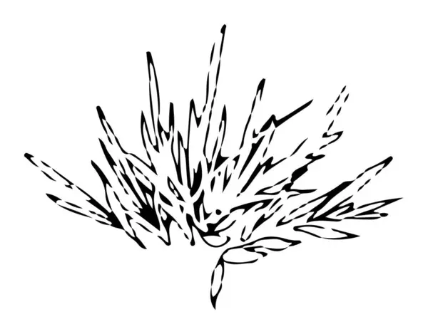 43,562,432 Sagebrush Vector Images | Depositphotos