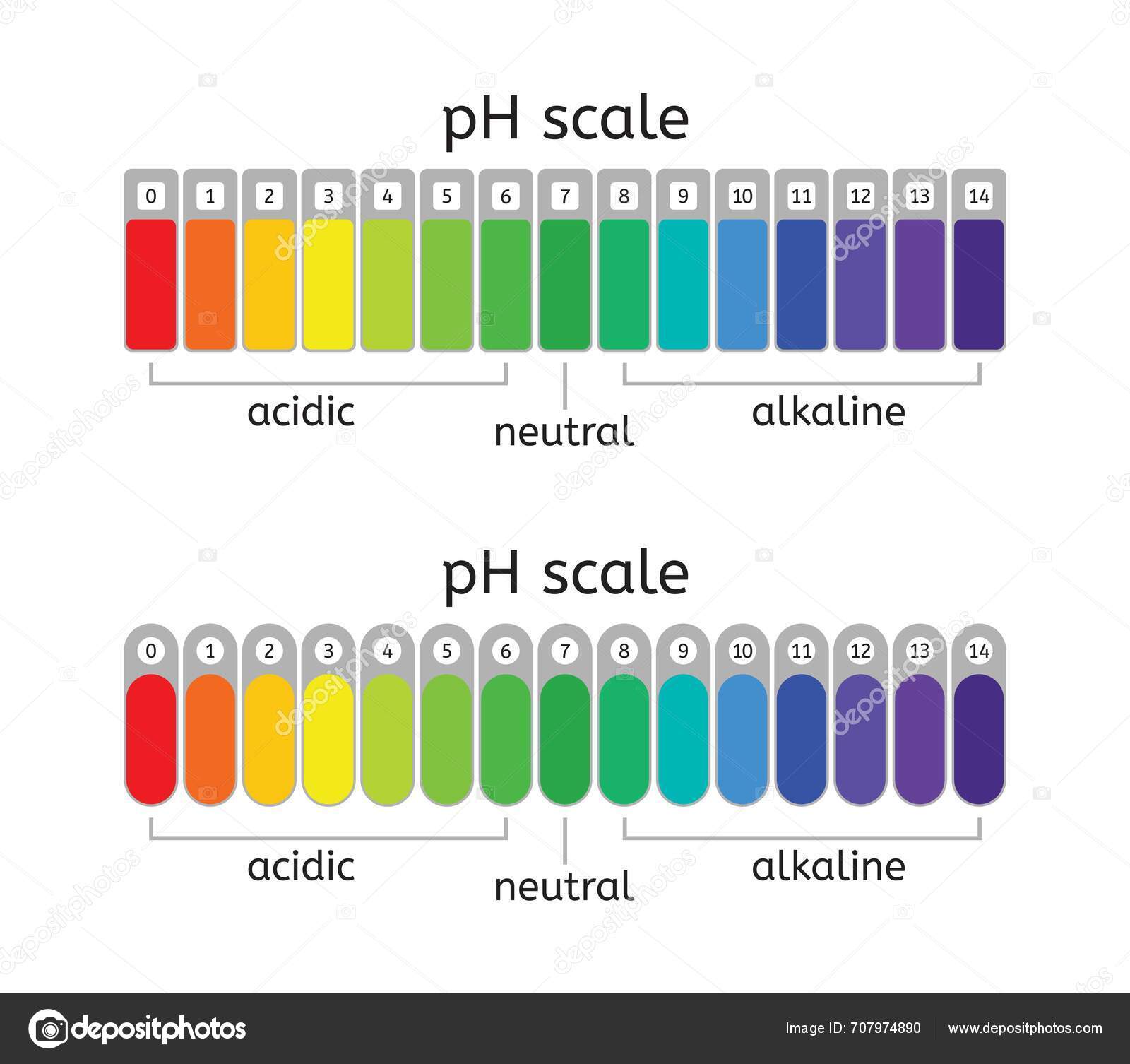 Vector Scale Acidic Neutral Alkaline Value Chart Acid Alkaline ...