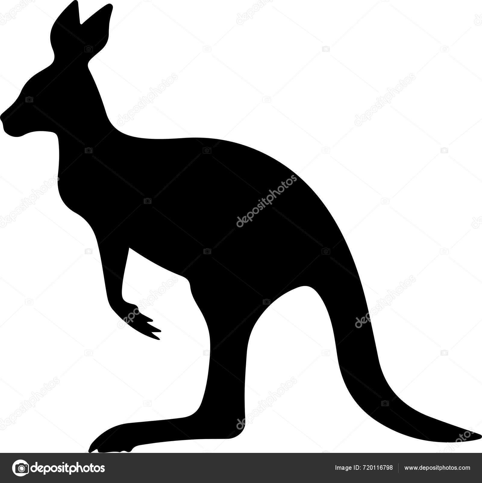 Kanguru Siluet Vektor Ilustrasi Latar Belakang Putih Vektor Stok oleh ...