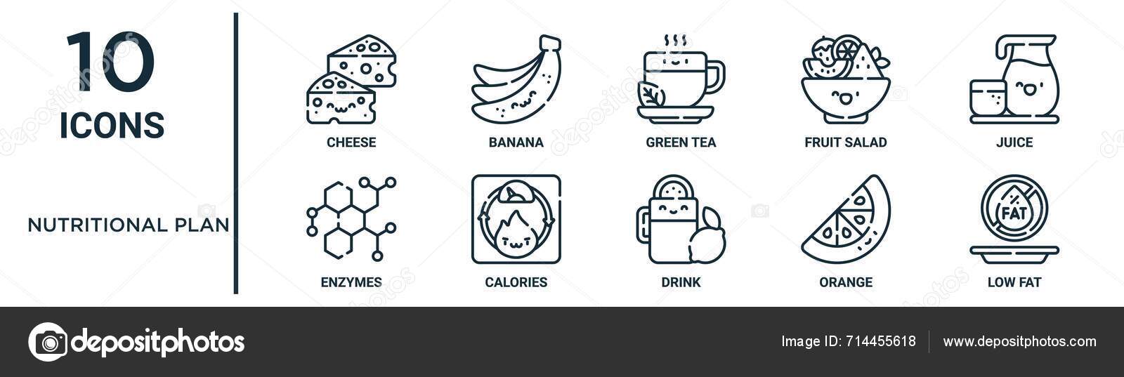 Nutritional Plan Outline Icon Set Thin Line Cheese Green Tea Stock ...