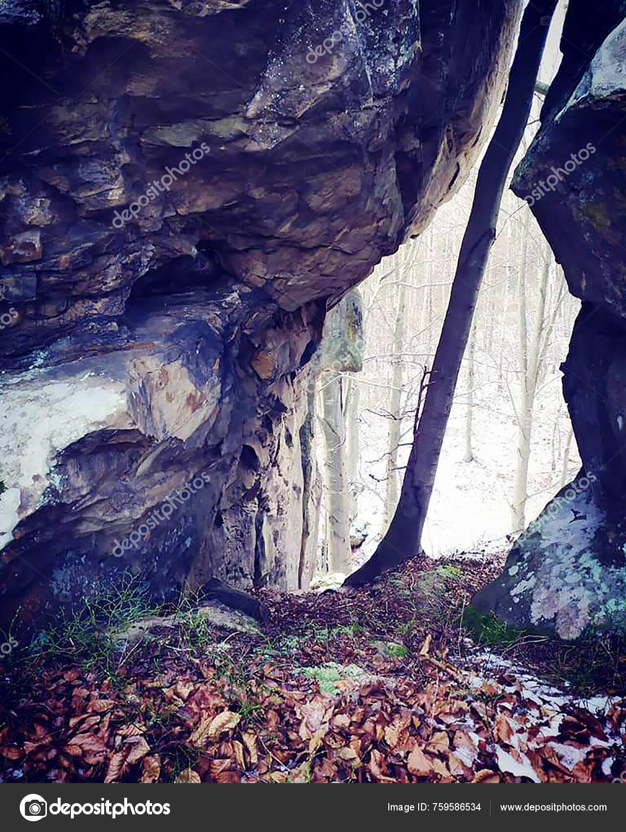 Tree Growing Passage Two Rocks — Stock Photo © teres.volodymyr3@gmail ...