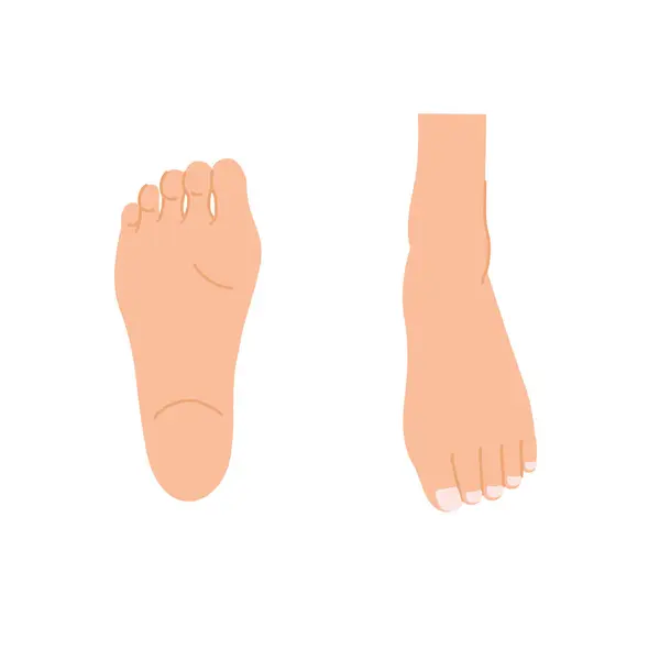 24,047,310 Foot outline Vector Images | Depositphotos