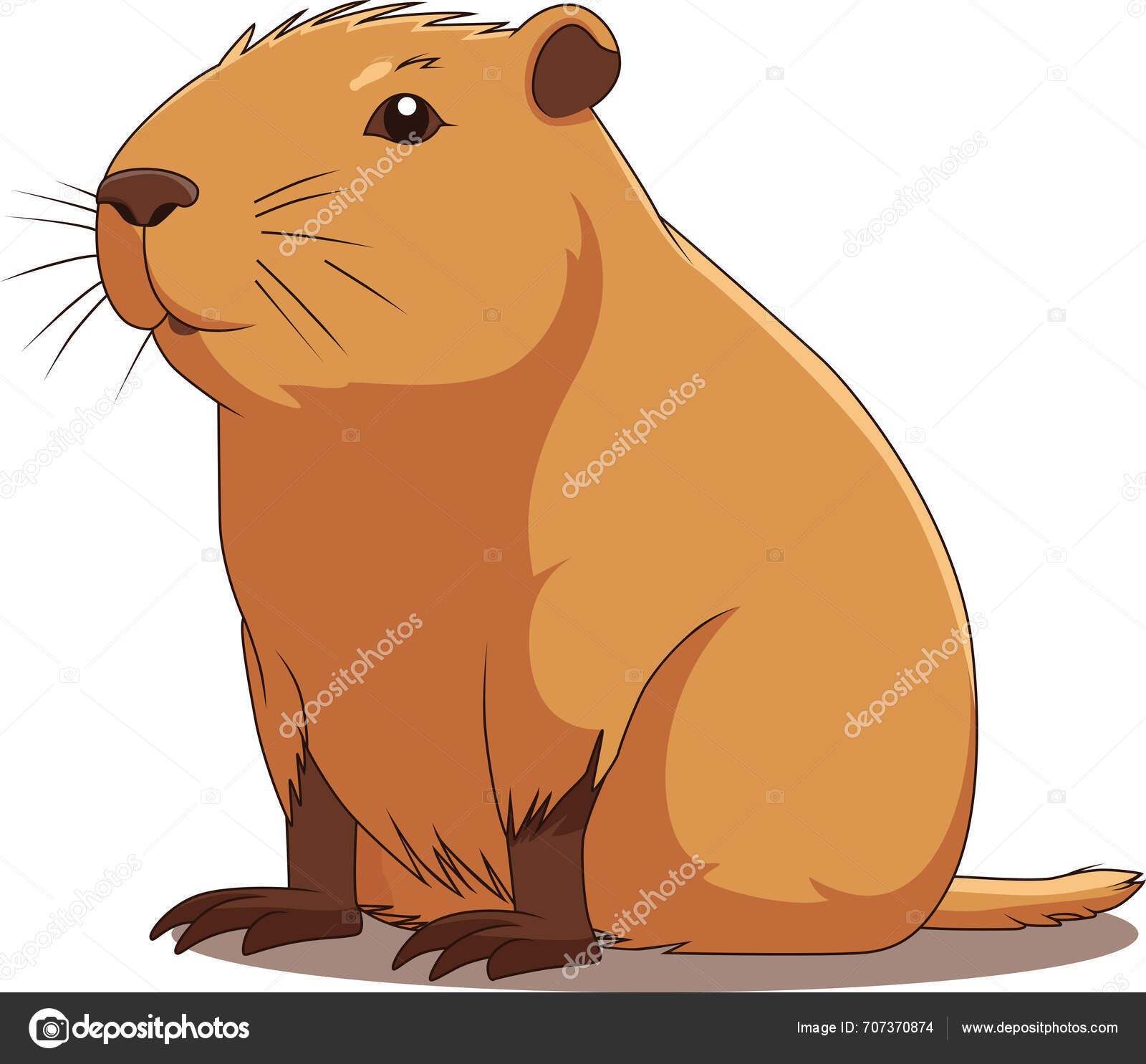 Bonito Capivara Desenhos Animados Fundo Branco Vetor de ©artkun04 707370874