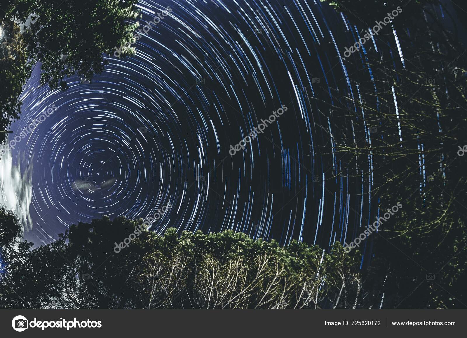 Stunning Render Abstract Multicolor Spectrum Tree Circular Spectrum ...