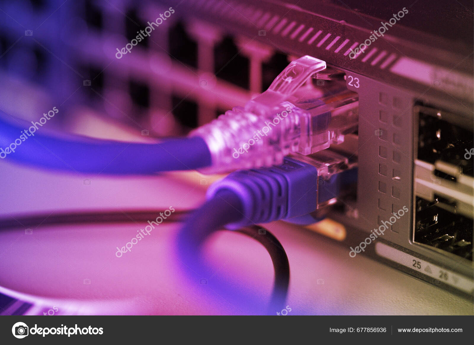 Close Port Rj45 Connect Switch Device Network Connection Concept ...