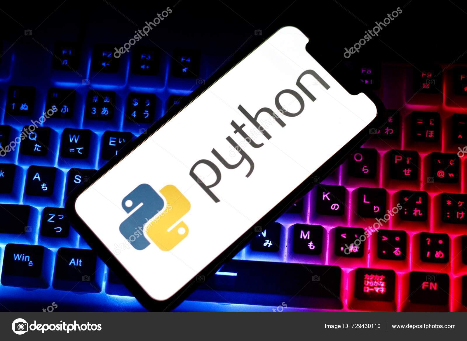 Photo Illustration Logo Python Displayed Smartphone Indonesia June 27Th ...
