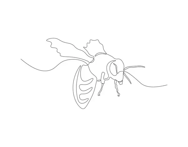 10,000,000+ vectores de Line drawing insects, imágenes vectoriales ...