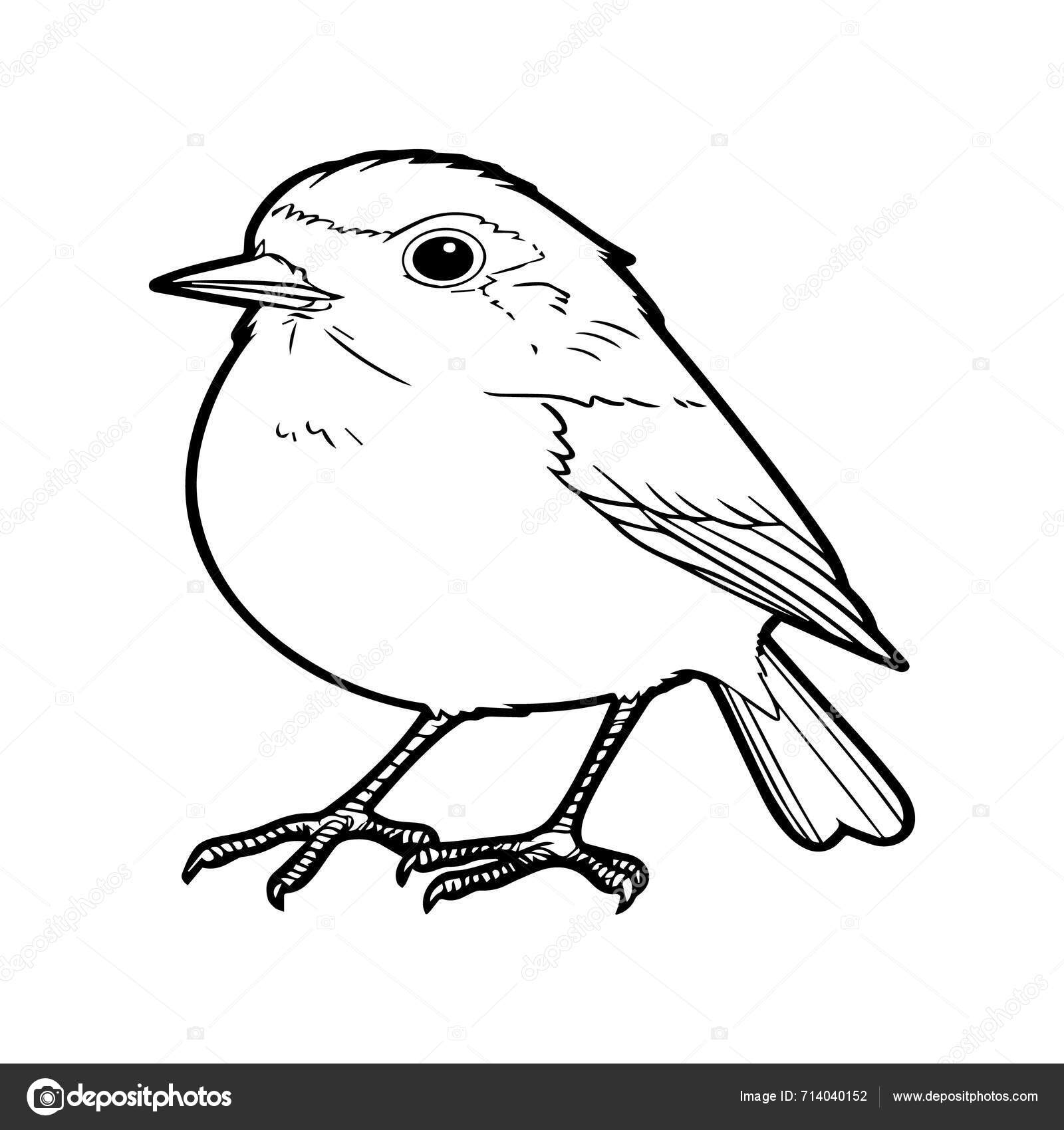 Image vectorielle Coloriage Robin Robin Des Oiseaux Pages Contour Pour ...