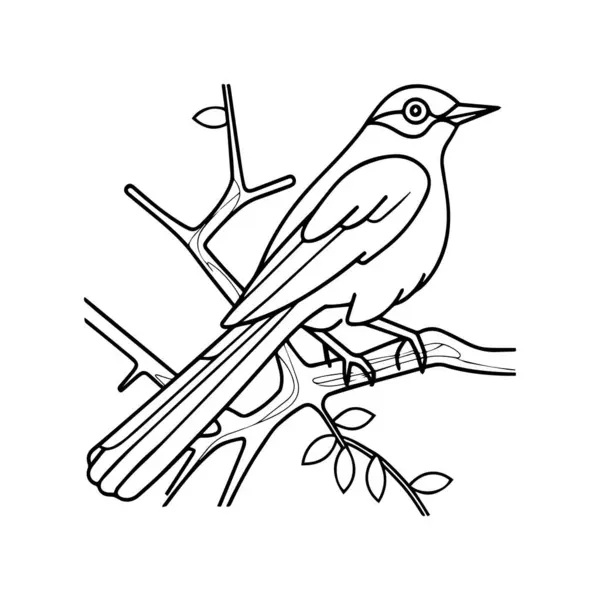 48,898,172 Kingbird Vector Images | Depositphotos