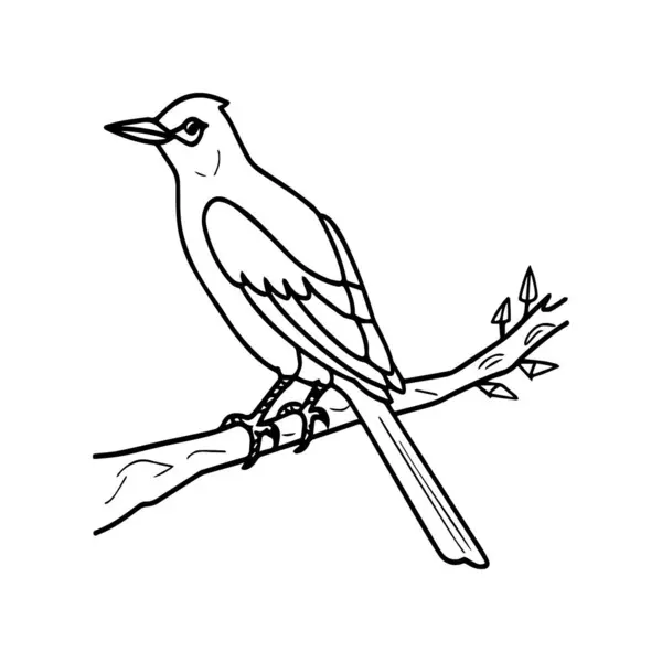 48,898,172 Kingbird Vector Images | Depositphotos