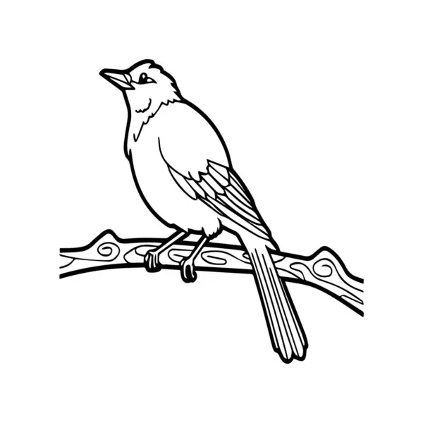 48,898,172 Kingbird Vector Images | Depositphotos