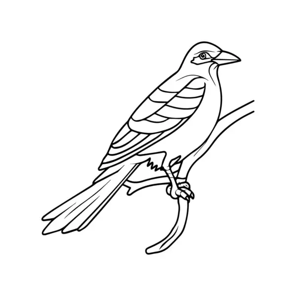 23,606,061 Bird india Vector Images | Depositphotos