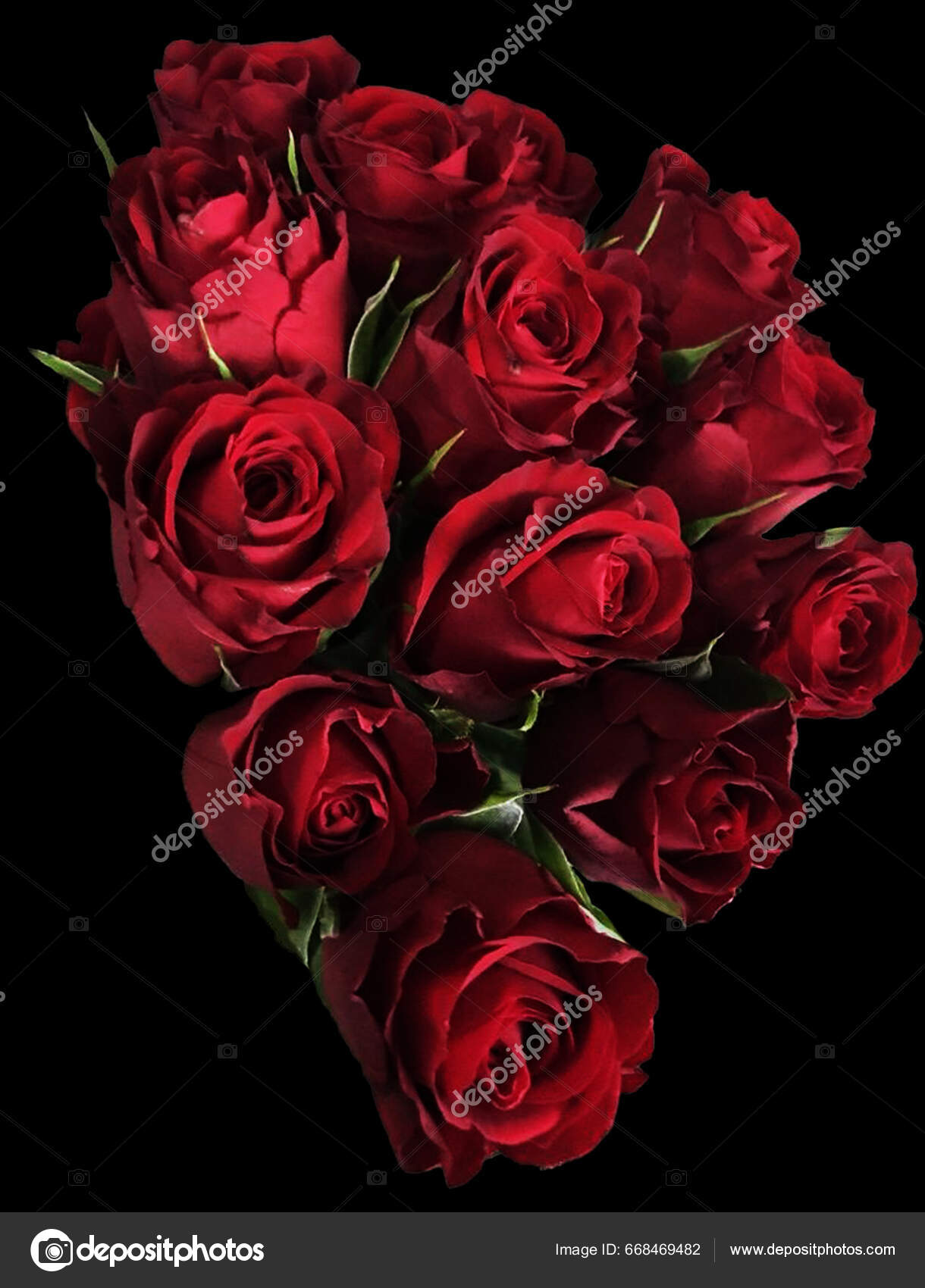 Beautiful Red Roses Black Background — Stock Photo © Chriscarnell ...