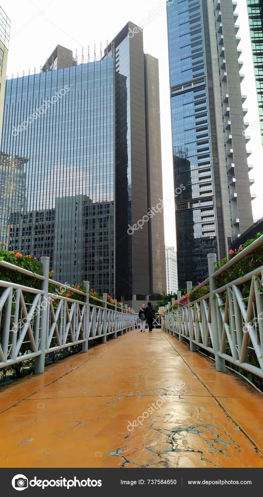 Tall Buildings Reflection Other Buildings Glass Beautifying View ...