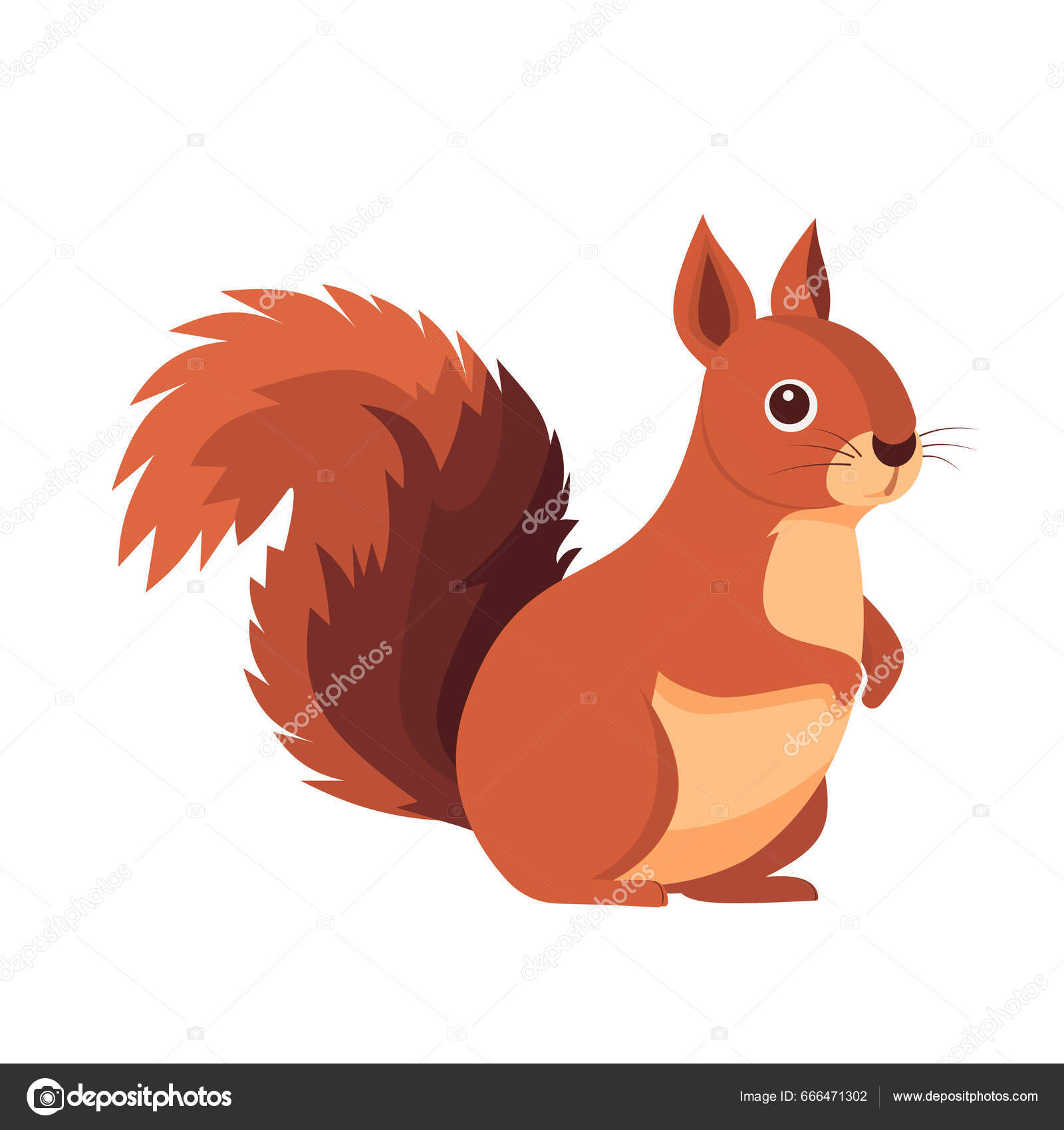 Ekorn Tegneseriebilder Plakat Ekorn Med Nøtt Tegneserie Illustrasjon