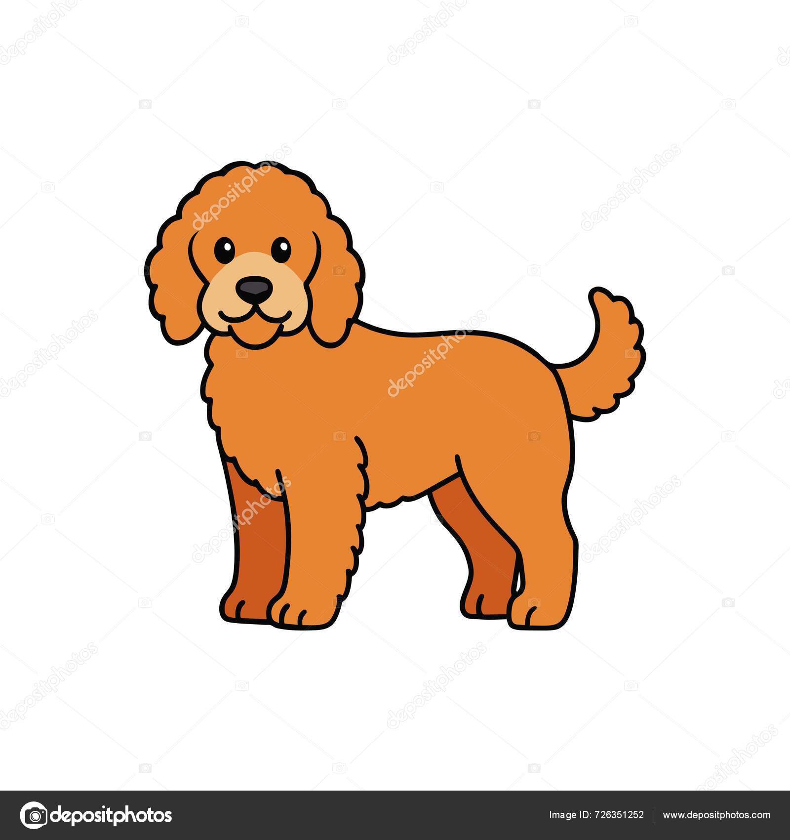 Australian Labradoodle Dog Stands Icon Vector Illustration Generated ...